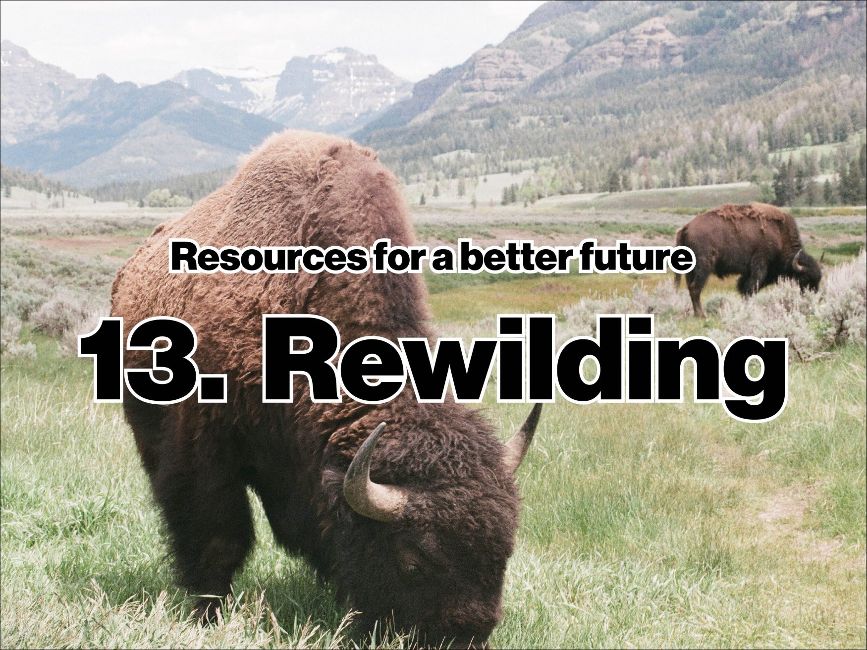 Rewilding - Uneven Earth