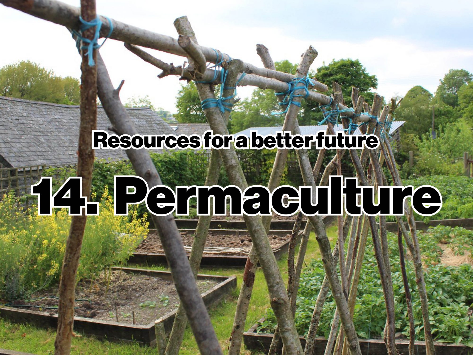 Permaculture - Uneven Earth