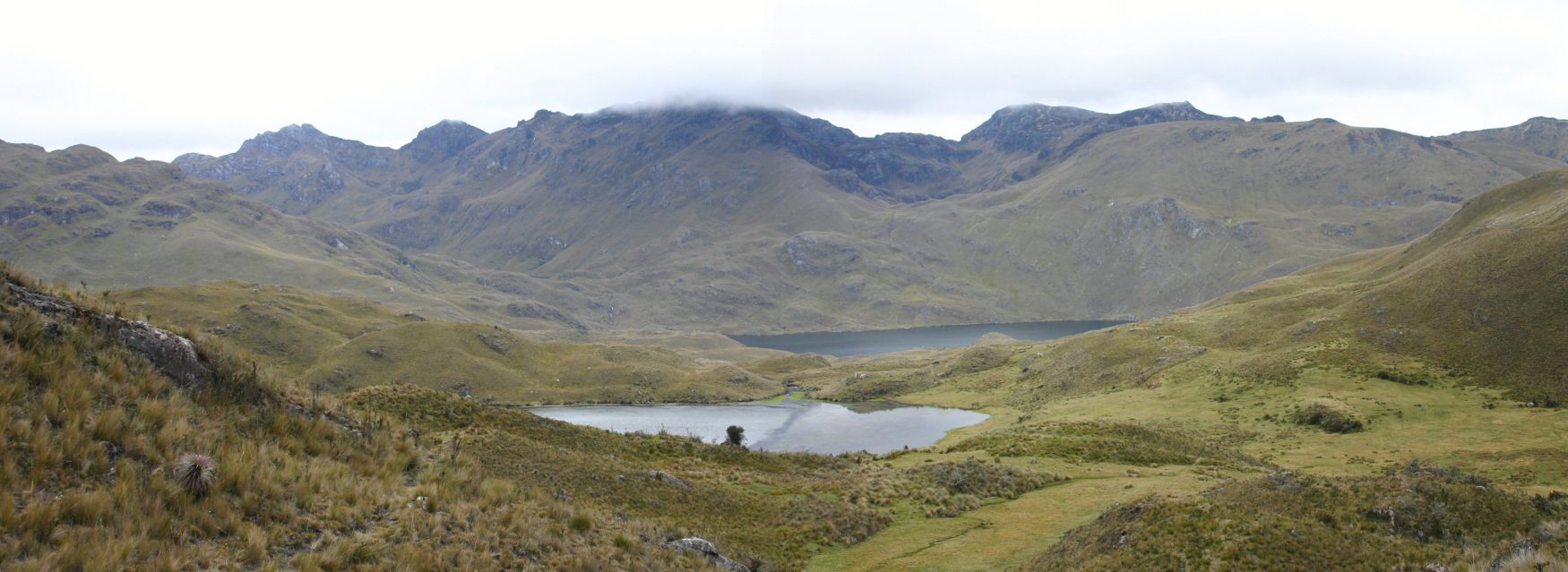 Why the National Páramo Day in Ecuador matters - Uneven Earth