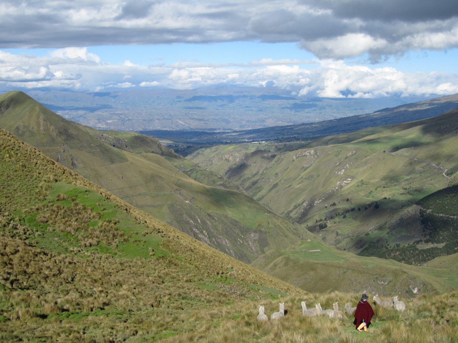 Why the National Páramo Day in Ecuador matters - Uneven Earth